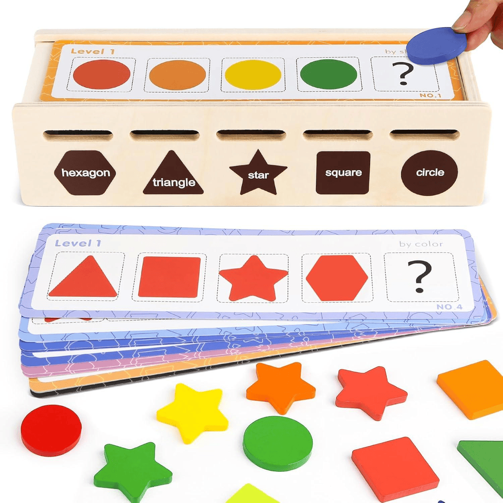 Toy. Wooden Sorting Box