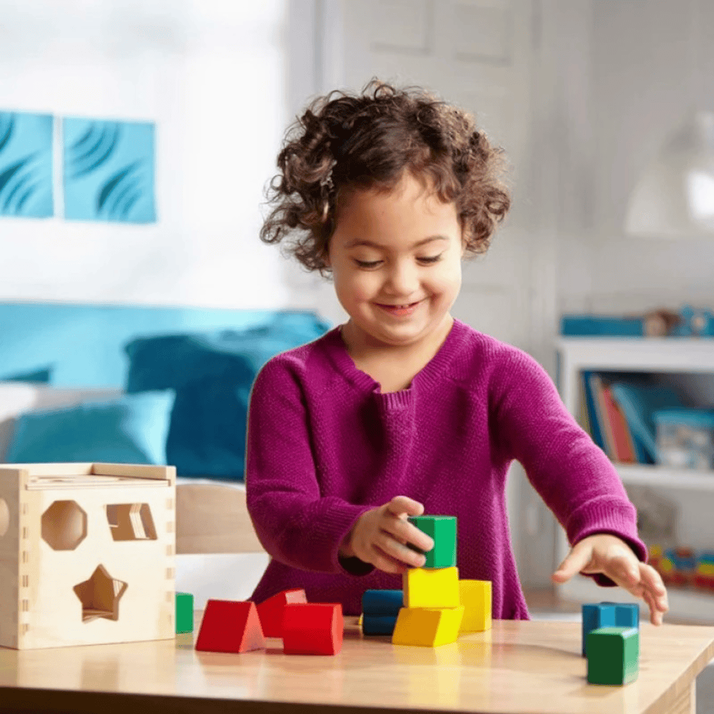 Toy. Wooden shapes sorting cube